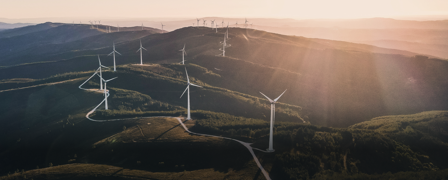 Swedfund, BII and Norfund invest $85 million in AgDevCo to support agribusinesses in Africa ...